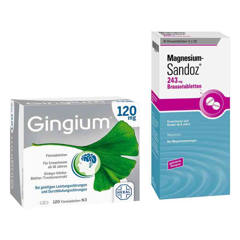 Gingium 120 mg Fta 120 stk + Magnesium Sandoz 243 mg Bta 40 stk 1 Pck