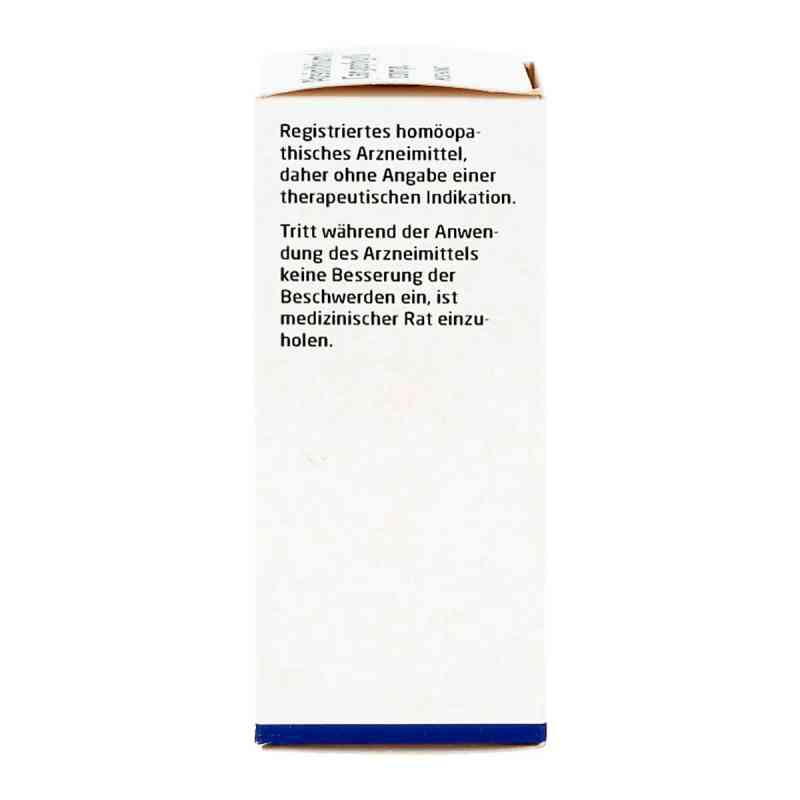 Absinthium/caryophylli compositus Dilution 50 ml