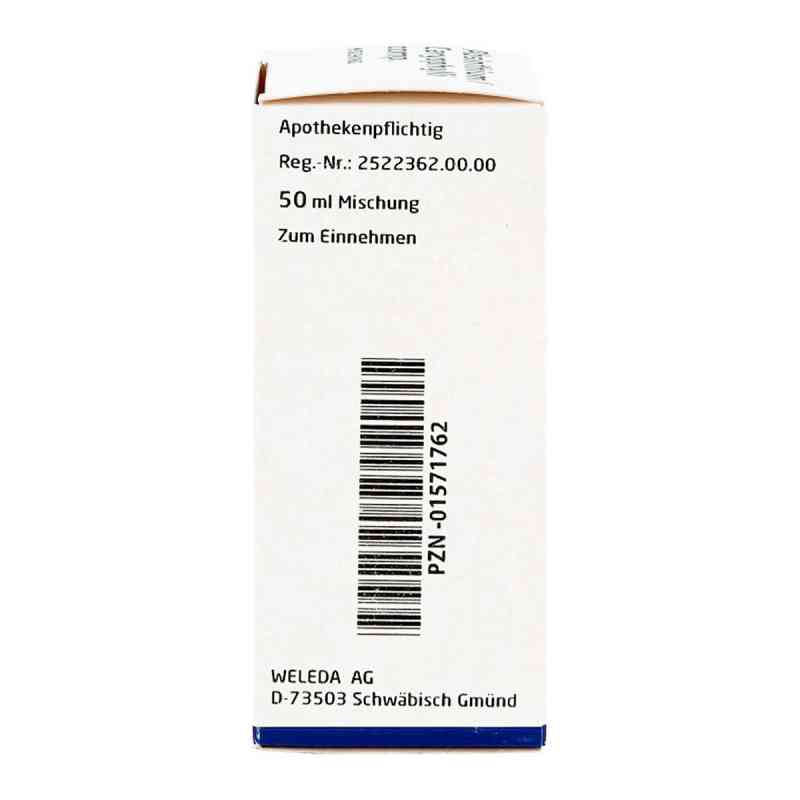 Absinthium/caryophylli compositus Dilution 50 ml