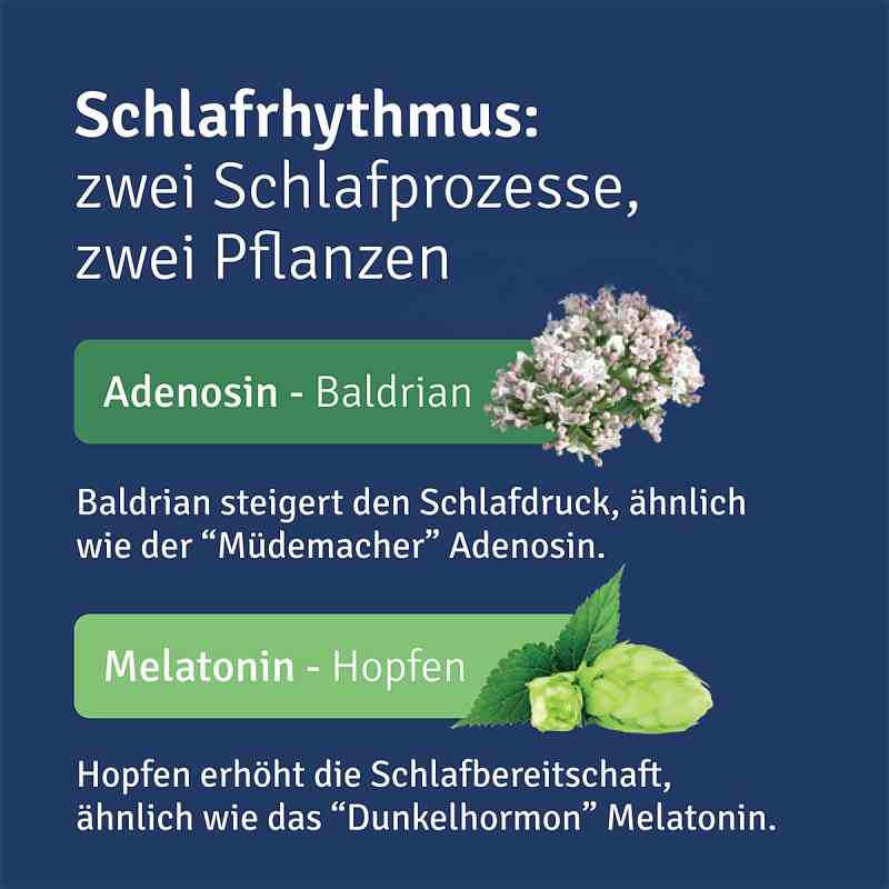 Alluna Schlaf Filmtabletten 20 stk online kaufen