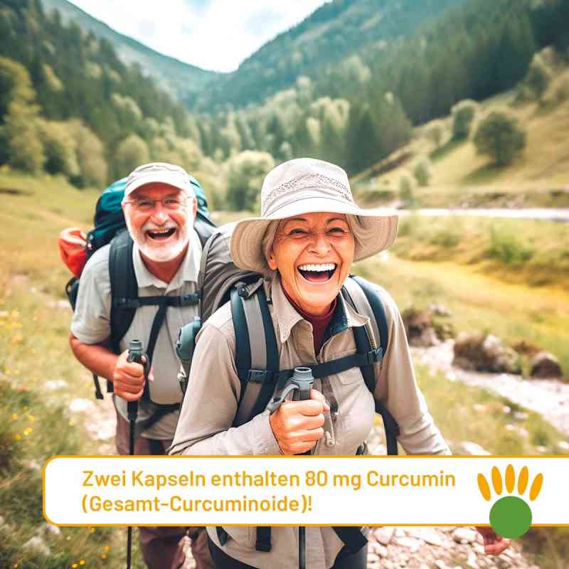 Curcusol Kapseln 120 stk online kaufen günstig bei apo.com