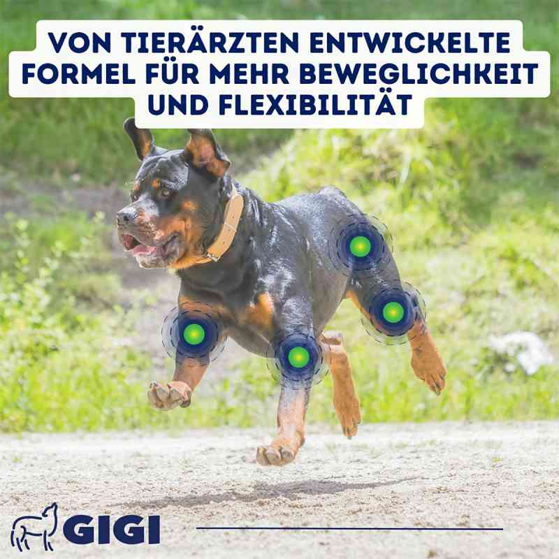 GIGI VET Aktive Hunde Gelenke & Knochen N90 90 stk