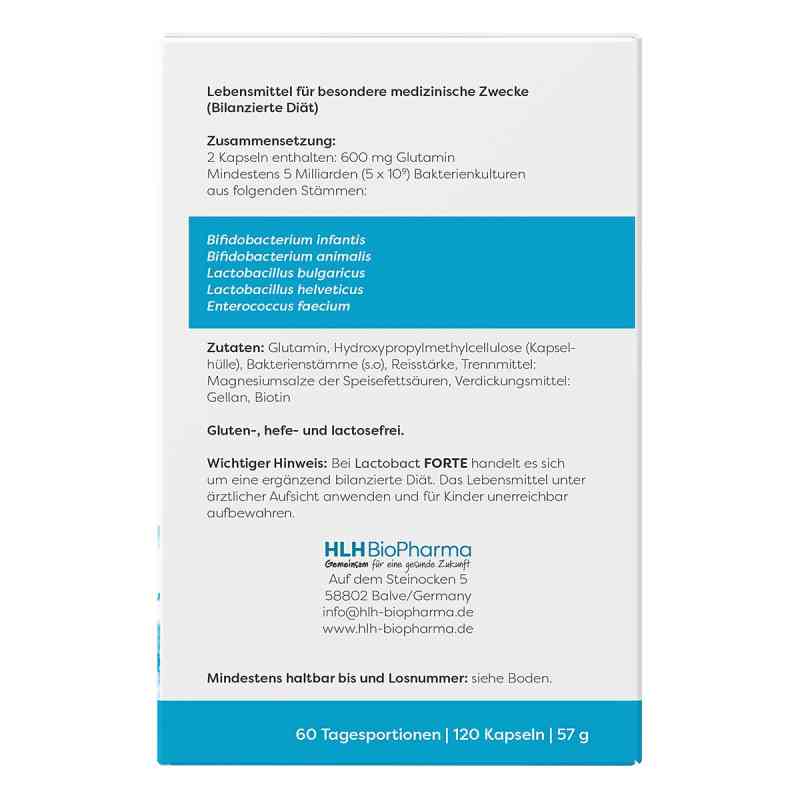 Lactobact FORTE magensaftresistente Kapseln 120 stk