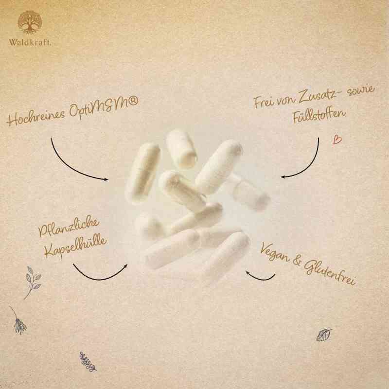 Msm Premium Optimsm Organisch.schwefel Kapseln erdling 120 stk