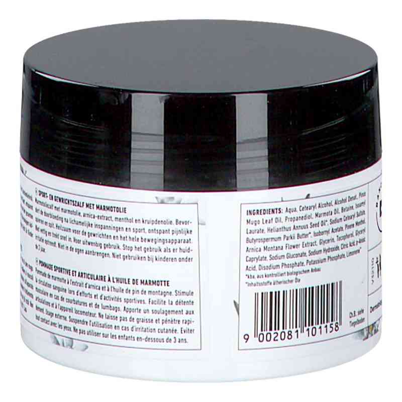 Murmelin Arlberger Murmeltiersalbe 200 ml online kaufen