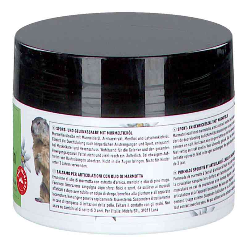Murmelin Arlberger Murmeltiersalbe 200 ml online kaufen