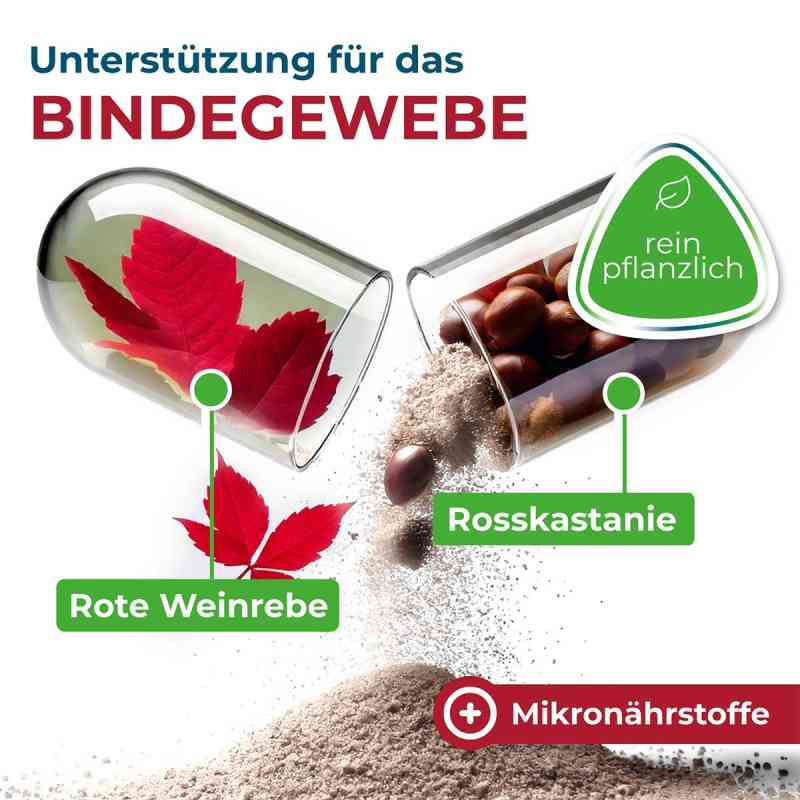 Nyrax Veno Balance Phytokomplex Bindegewebe Kapseln 120 stk