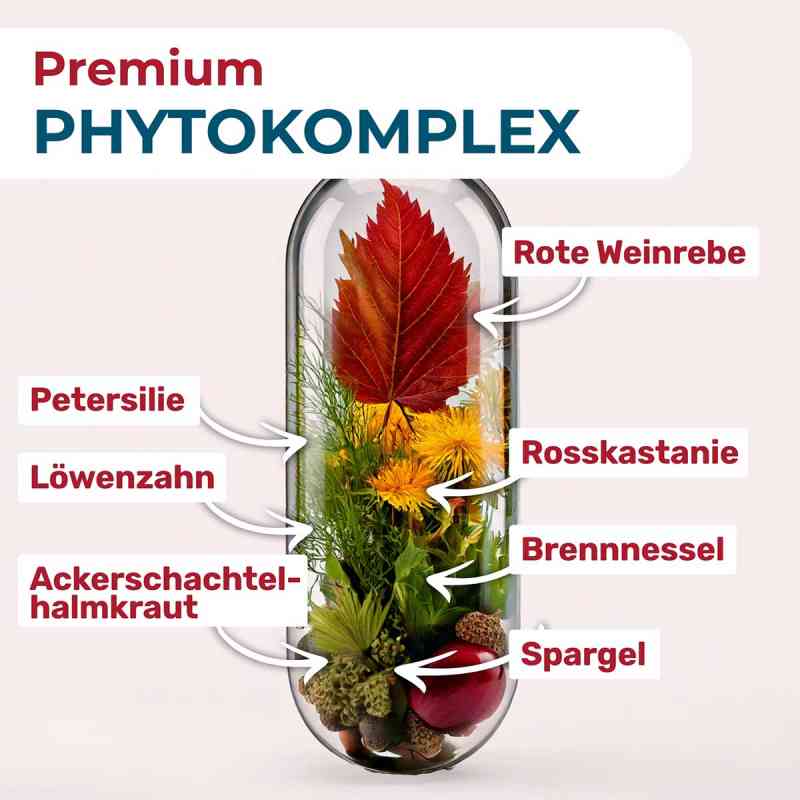 Nyrax Veno Balance Phytokomplex Bindegewebe Kapseln 120 stk