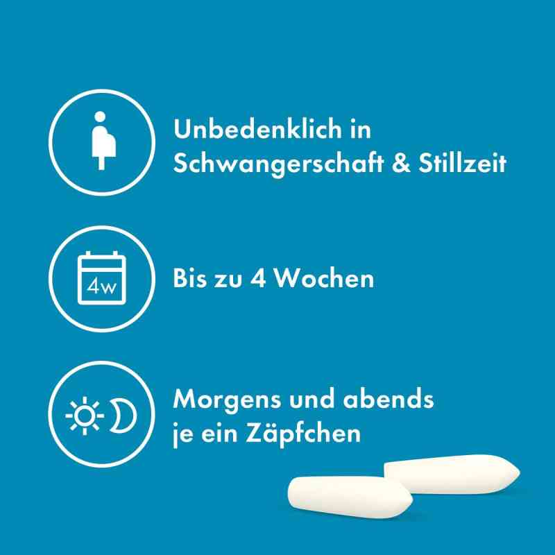 Posterisan protect Hämorrhoidenzäpfchen 10 stk