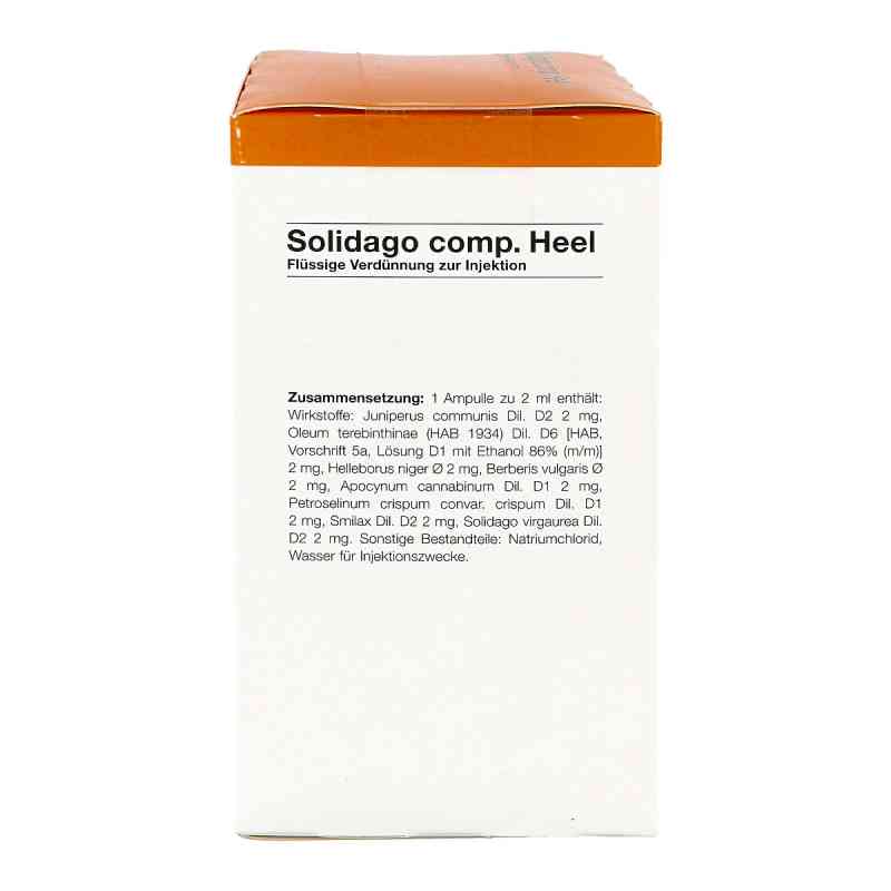 Solidago Comp.heel Ampullen 100 stk online kaufen