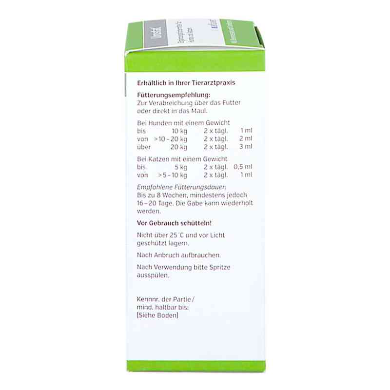 Urostat flüssig für Hunde und Katzen 100 ml online kaufen