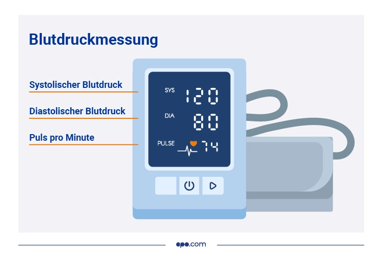 Blutdruck richtig messen | apo.com Magazin