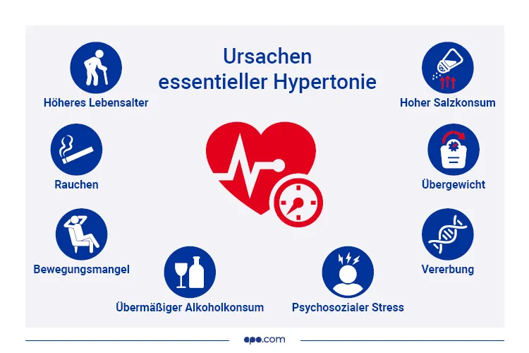 Essentielle Hypertonie | apo.com Magazin