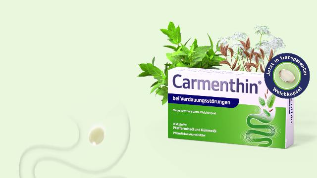 Carmenthin bei Verdauungsstörungen 42 stk online kaufen